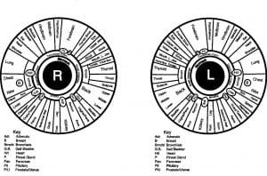 Iris Chart Iridology: Complete Guide To Eye Analysis Maps