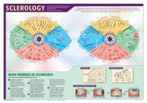 Iridology Pictures And Meanings: A Guide To Iris Patterns, Pictures ...
