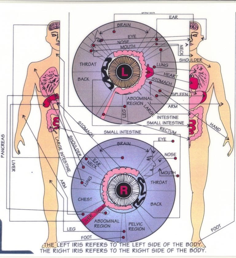 Iris Chart Iridology: Complete Guide To Eye Analysis Maps